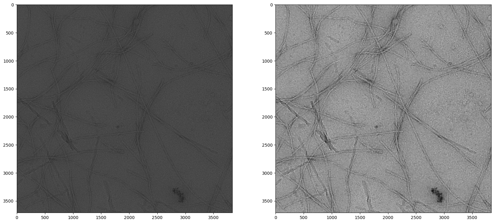 Micrograph analysis tutorial — SimpliPyTEM 1.0.8 documentation